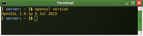 Openssl Linux Mint Czandsk