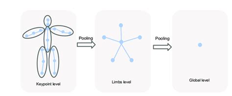 The Defined Hierarchical Graph Pooling Strategy For The Human Body