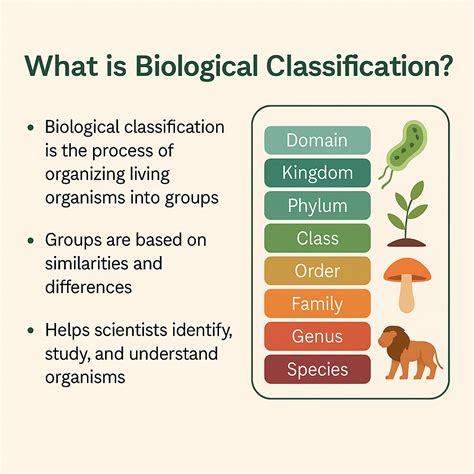 Biological Classification
