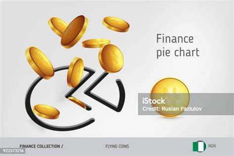 나이지리아 나리 동전 금융 개념 비행 원형 차트 아이콘 인쇄 웹 사이트 웹 디자인 모바일 애플 리 케이 션 인포 그래픽에 대 한 벡터 일러스트 0명에 대한 스톡 벡터 아트