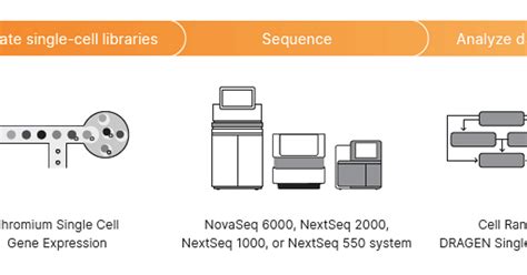 Illumina 10x Genomics Chromium 3 Gene Expression Dual Index Data…