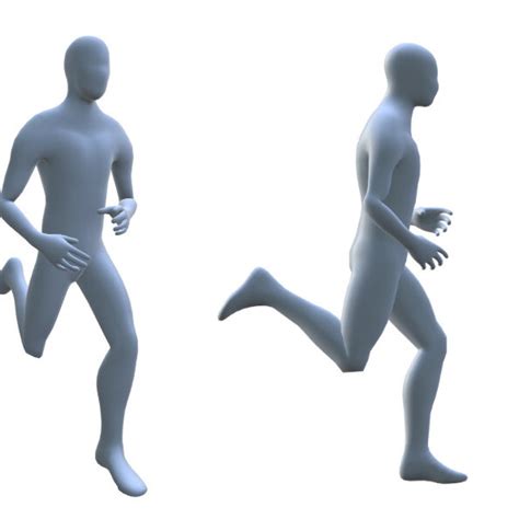 Detailed View Of Anthropometric Model Used In The Simulation Download Scientific Diagram