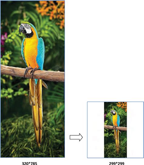 figure 1 from research on wheel x ray defect recognition algorithm