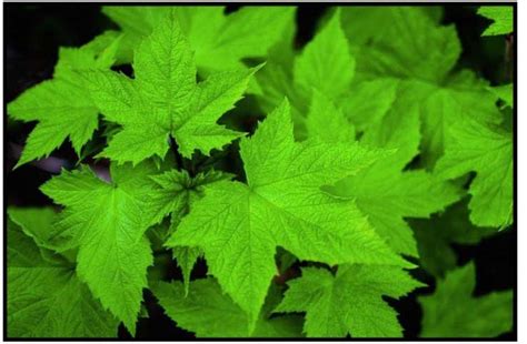 How To Solve Problems With Technology 22 Amazing Ways To Solve