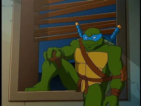 Tmnt 2003 Мультфильмы Рисунки Черепашата