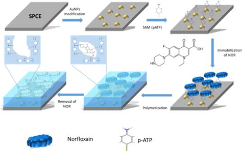 Scheme For The Fabrication Of The Nor Mip Aunps Spce Sensor Step 1