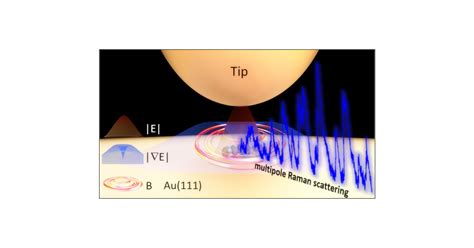 Fiber Vector Light Field Based Tip Enhanced Raman Spectroscopy Nano Letters