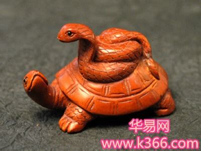 梦见蛇龟相向 梦到蛇龟相向是什么意思 做梦梦见蛇龟相向好不好 周公解梦 华易算命网