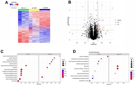 mass spectrometry ms based proteomics analysis reveals distinct