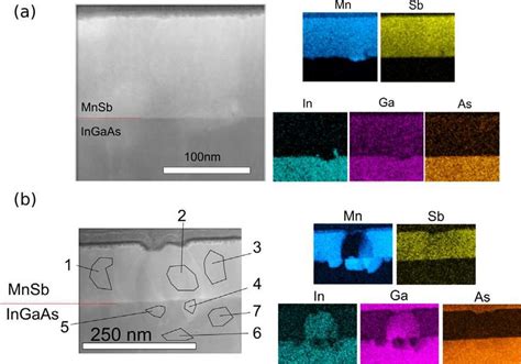 Cross Sectional Stem And Accompanying Edx Images Taken From Samples