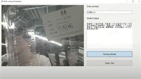 基于多模态大语言模型的摄像头实时感知交互大语言模型 摄像头 Csdn博客