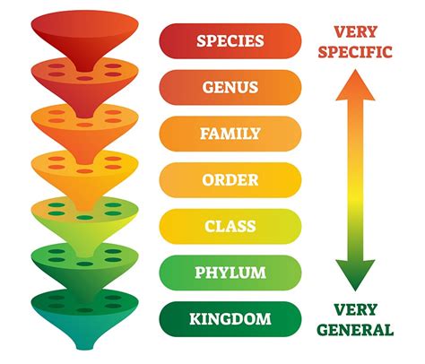 Biological Hierarchy Determinism And Specificity