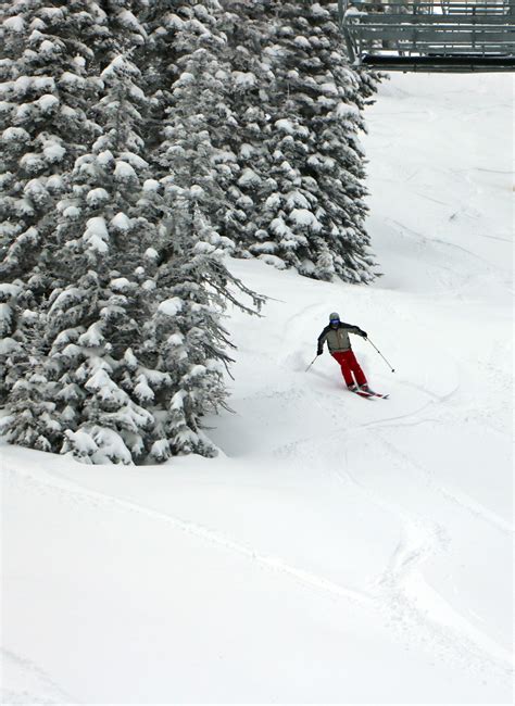 Deep Pow Be Aware Of Tree Well Hazards Brundage Mountain Resort