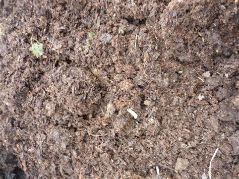 Compost Porn For The Discerning Gardener Transition Culture