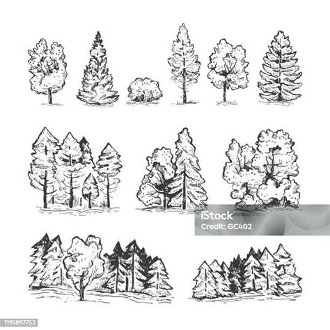 손으로 그린 나무와 풍경의 스케치 세트입니다 흰색에 절연 된 검은 색 선 나무에 대한 스톡 벡터 아트 및 기타 이미지 나무