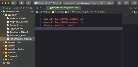 Native Modules Export C Function To React Native For Beginners By
