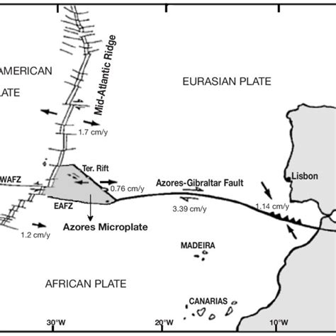 Location Of Islands And Main Tectonic Lineaments Of The Azores Triple Download Scientific