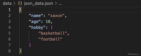 Python如何处理json数据，保姆级教程，小白也能玩转python Json文件处理 Csdn博客