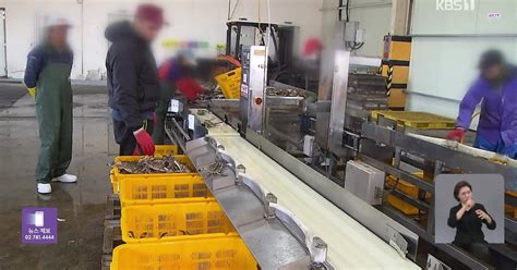 서해5도 어장 ‘서울 28 면적 어장 확대…“어획량도 83 늘어”