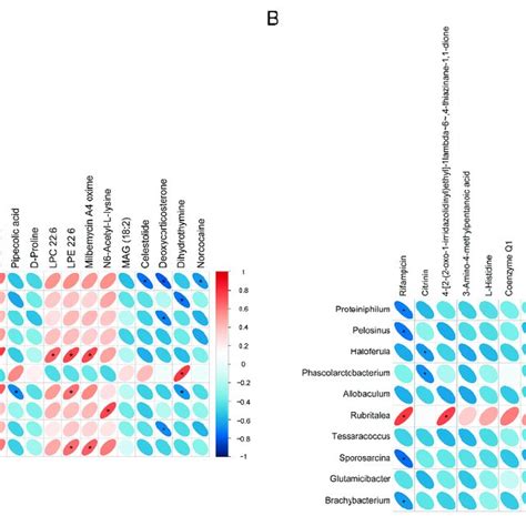Heatmap Of The Correlation Between Gut Microbiota And Metabolites A