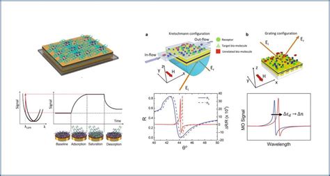 Optochemical Sensors And Biosensors Imm Container
