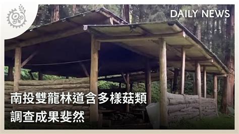 南投雙龍林道含多樣菇類 調查成果斐然｜每日熱點新聞｜原住民族電視台 Youtube