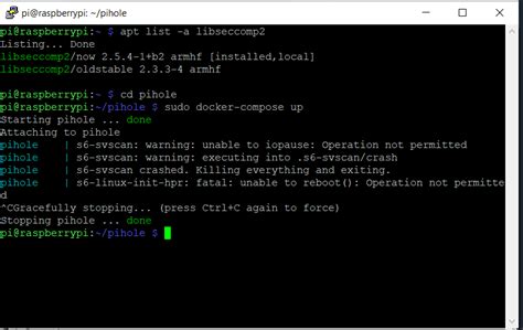 Pihole Docker Error 111 Rpihole