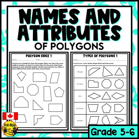 Names And Attributes Of Polygons Or 2d Shapes Math Worksheets Paper