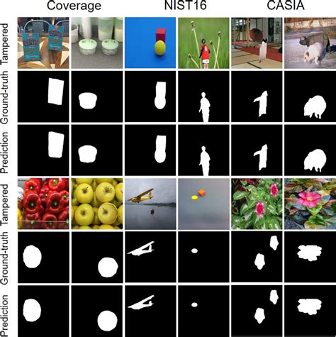 Qualitative Visualization Of The Localization Results Obtained On The