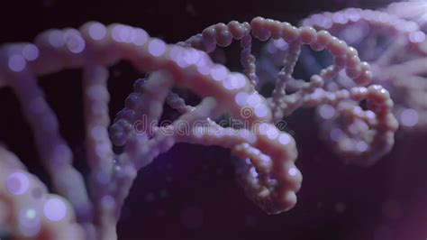 3d Dna Strand With Rna Chromosomes At Microscope View In The Research Laboratory Stock Footage