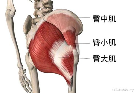 臀部两侧凹陷不饱满，用这3个动作进行孤立训练，还你蜜桃臀！东方养生频道东方养生