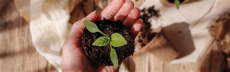 Was Ist Eigentlich Der Natural Origin Index Rausch