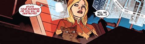 Flying With Chewie Captain Marvel Funny Marvel Memes Comic Book Heroes