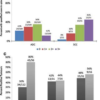RUNX3 Staining Localization In ADC And SCC A Distribution Of RUNX3
