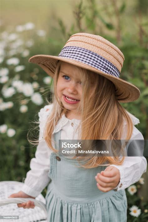면 드레스와 밀짚모자를 쓴 귀여운 금발 소녀가 데이지 밭을 걷고 바구니에 모은다 2 3 살에 대한 스톡 사진 및 기타 이미지 2 3 살 건강한 생활방식 걷기 Istock