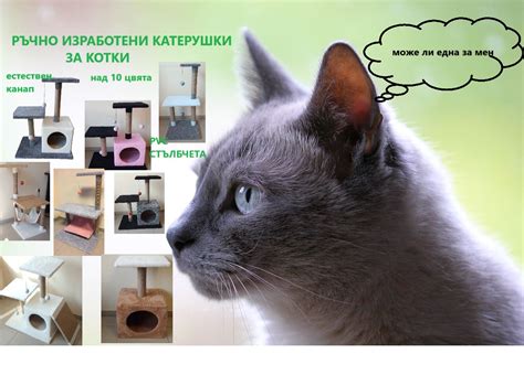 Ветеринарна клиника Ветеринарна клиника Medic Vet