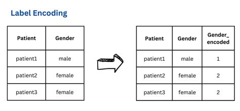 Non Numeric Data For Ml Encoding Data Dev Community