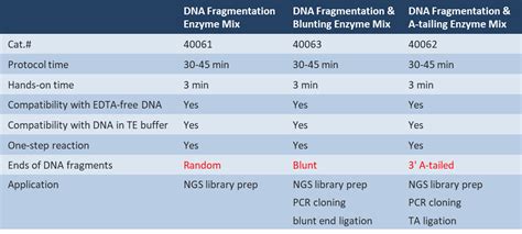 Dna Fragmentation Enzyme 30 Minutes Protocol