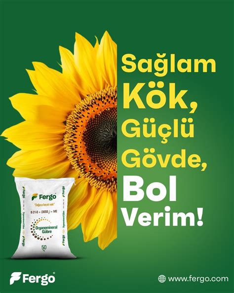 Fergo Organomineralgübre Ayçiçeğigübreleme Sürdürülebilirtarım