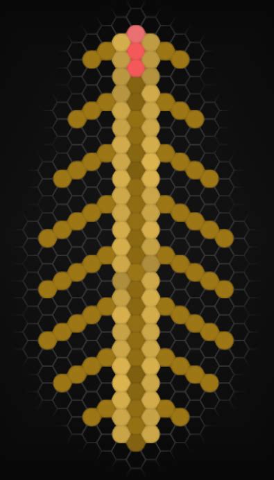 Polychaete Tiny Primordialis Wiki