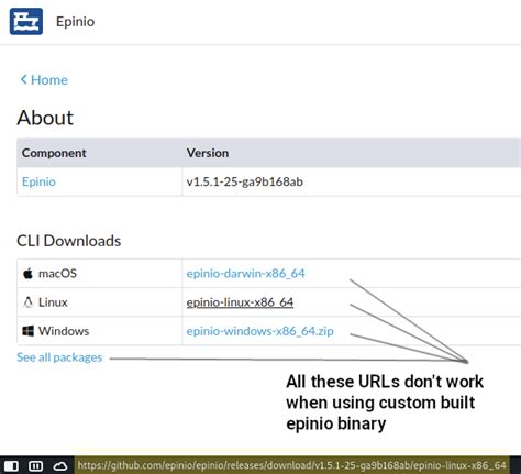 Use The Epinio Server Version From Api Rather Than Helm Chart Env Var