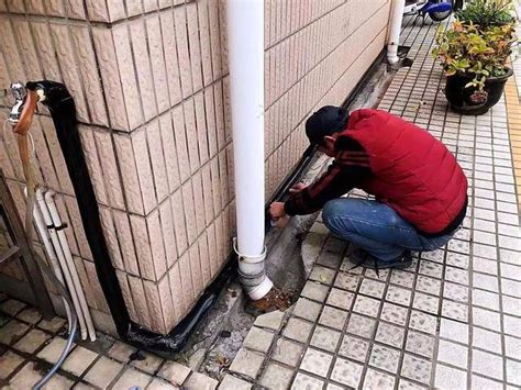 外头冷飕飕普陀这里的老人却感到暖烘烘 真如镇