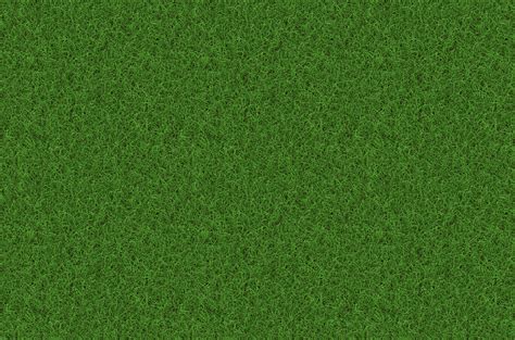 Royalty Free Photo Green Grass Rush Grass Texture Background Pattern Pickpik