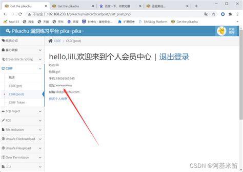 pikachu靶场通关详解 靶场pikaqu csdn博客