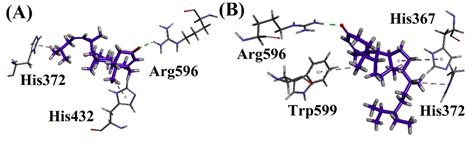 A Interactions Of Compound 1 And B Interactions Of Compound 2 In Download Scientific