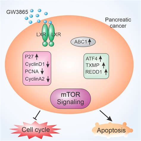 Sciopen Open Access Resource On Linkedin Openaccess Sciopen