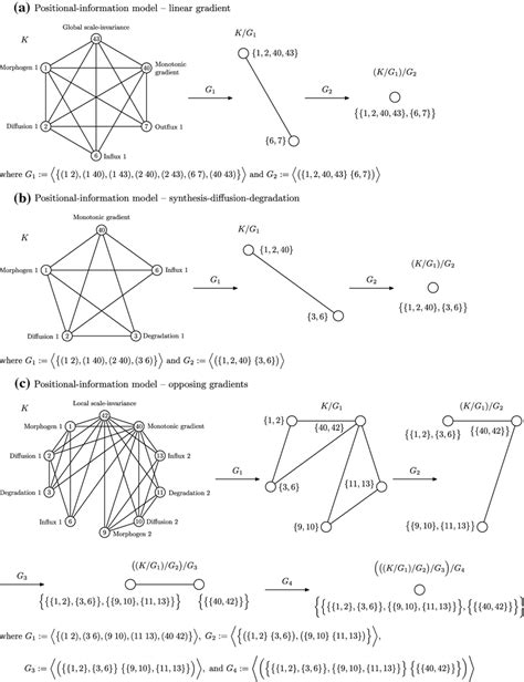 1 Skeletons Of The Simplicial Representations And Orbit Spaces For The