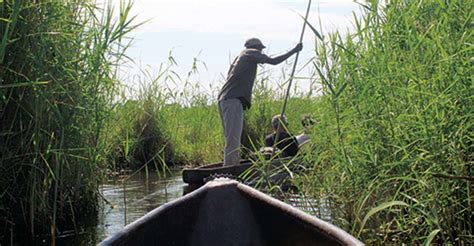 Okavango Delta Mokoro Day Tour Water Activity In Okavango Delta