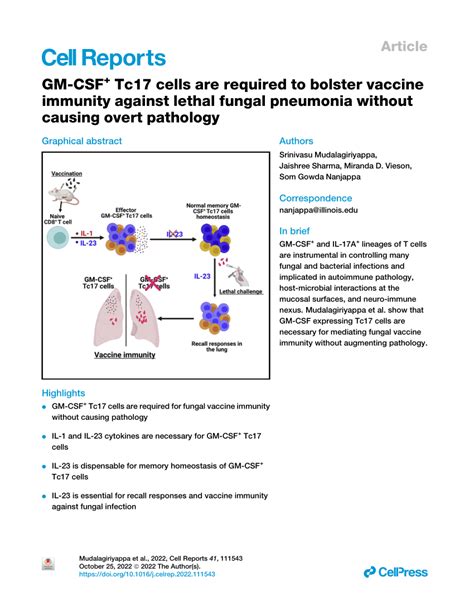 Pdf Gm Csf Tc17 Cells Are Required To Bolster Vaccine Immunity Against Lethal Fungal