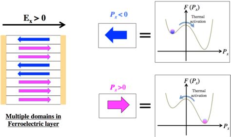 figure 2 from compact model of fefet memory based on multi domain landau khalatnikov theory